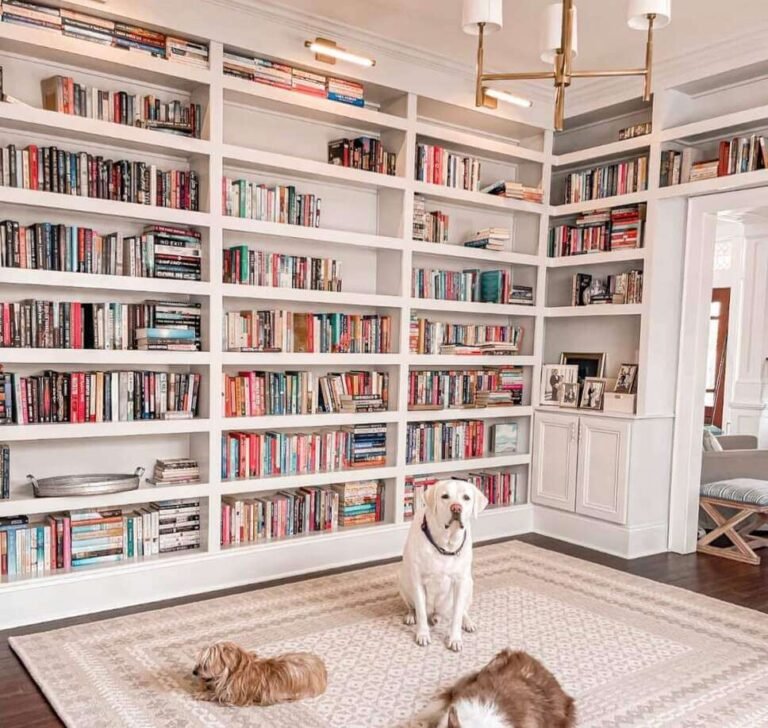 33 Home Library Ideas That Will Make Every Book Lover Jealous